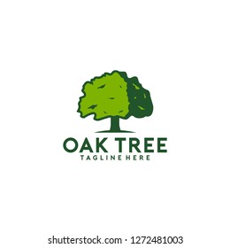 Oak Tree Logo Design Oak Leaf Stock Vector (Royalty Free) 1272481003 ...