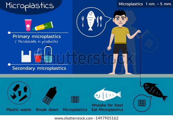 Ocean Microplastics Pollution Cycle Vector Stock Vector (Royalty Free ...