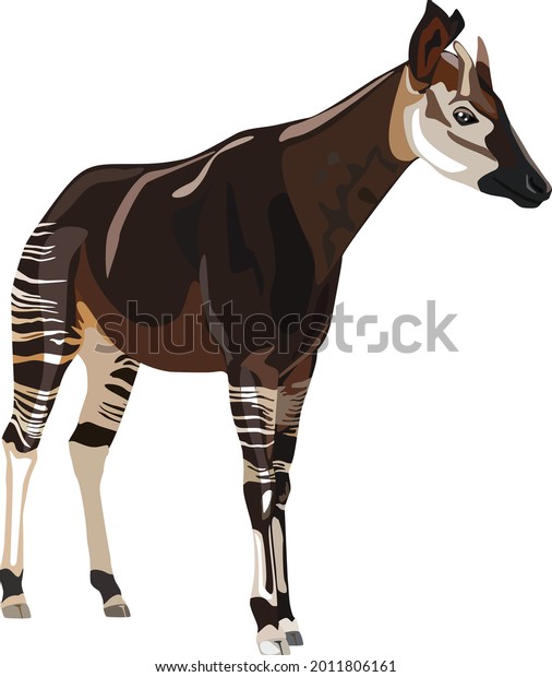 Okapi Art
