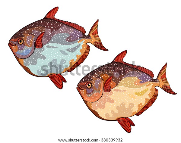 11 Lampriformes Images, Stock Photos, and Vectors | Shutterstock