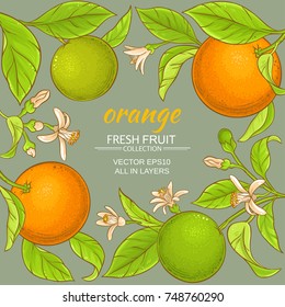Orange Organic Vibes Slogan Print Design Stock Vector (Royalty Free ...