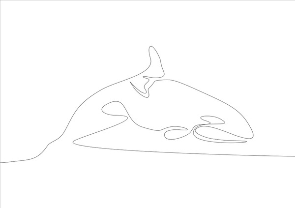 2+ Thousand Orca Outline Royalty-Free Images, Stock Photos & Pictures ...