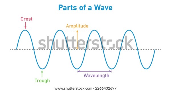 Parts Transverse Wave Physics Basic Properties Stock Vector (Royalty ...