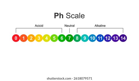 Ph Scale Chart Indicator Diagram Value Stock Vector (Royalty Free ...