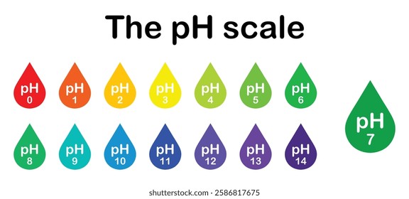 6 Maqueta De La Escala De Ph Stock Vectors and Vector Art | Shutterstock