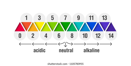 Ph Value Scale Chart Acid Alkaline Stock Vector (Royalty Free) 1105783955 | Shutterstock