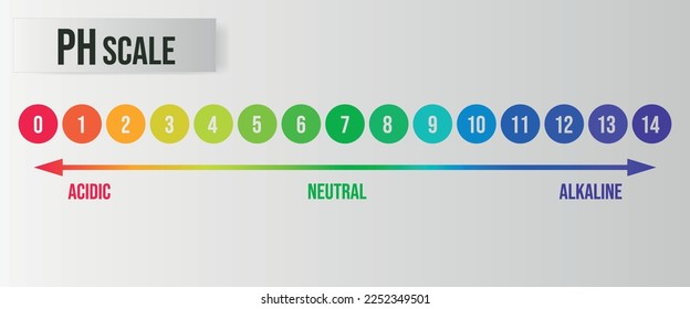 Ph Value Scale Chart Acidalkaline Solution Stock Vector (Royalty Free) 2252349501 | Shutterstock