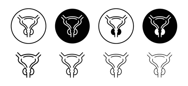15 Benign Prostatic Hyperplasia Women Stock Vectors and Vector Art ...