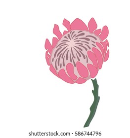 Proteus Stock Vector (Royalty Free) 586744796 | Shutterstock