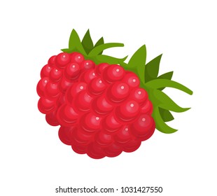Cartoon Style Raspberry Vector Illustration Isolated Stock Vector ...