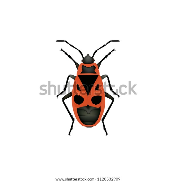 Red Bug Firebug Vector Illustration Stock Vector (Royalty Free ...