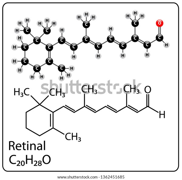 Retinal Molecule Structure Stock Vector (Royalty Free) 1362451685 ...