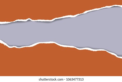 Ripped Paper Vector Ripped Paper Paper Stock Vector (Royalty Free ...