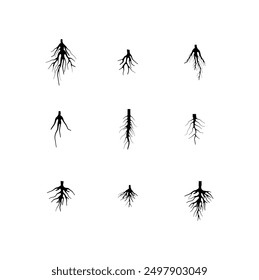 7+ Thousand Taproot Royalty-Free Images, Stock Photos & Pictures ...