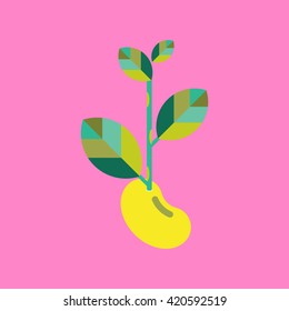 Sapling Icon Stock Vector (Royalty Free) 420592519 | Shutterstock