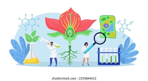 9,190 Botany Exploration Images, Stock Photos & Vectors | Shutterstock