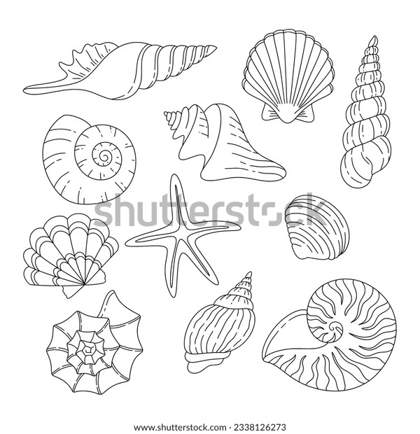 Cymba Concha: Over 105,472 Royalty-Free Licensable Stock Vectors ...