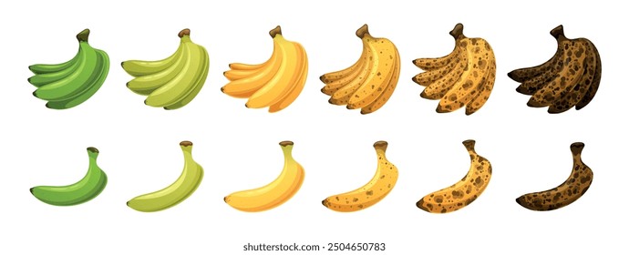 Mature Banana: Over 958 Royalty-Free Licensable Stock Illustrations ...