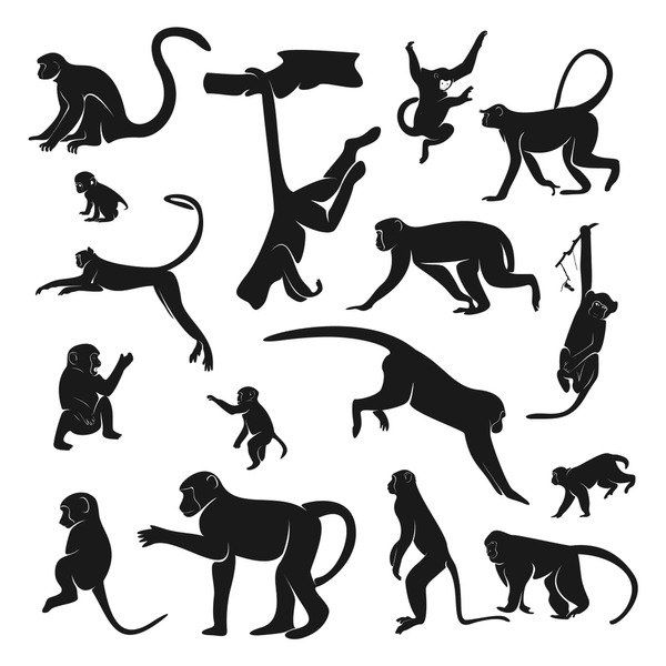19,930 Clip Art Monkey Royalty-Free Photos and Stock Images | Shutterstock