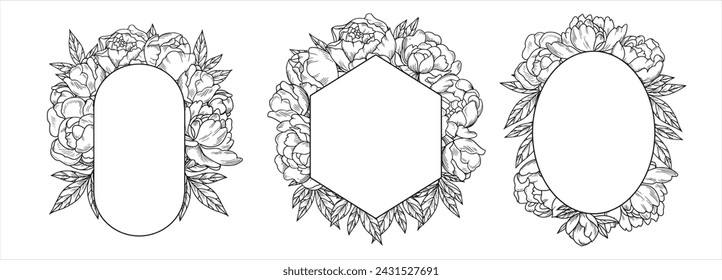 Set Oval-shaped Vector Frames Exquisite Peony Stock Vector (Royalty ...