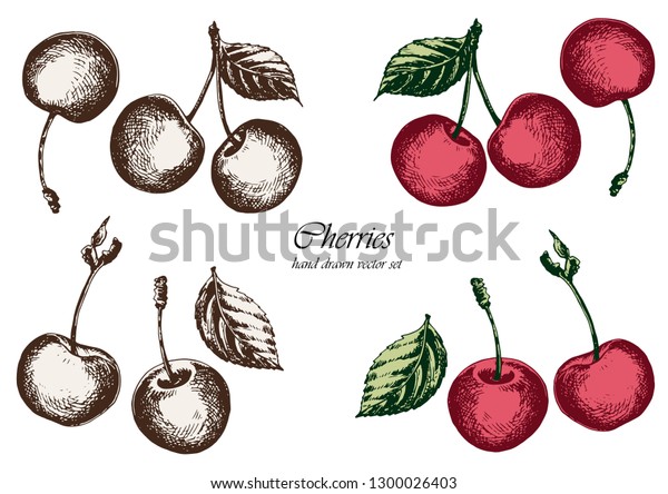 Set Red Cherries Leaves Hand Drawn Stock Vector (Royalty Free ...