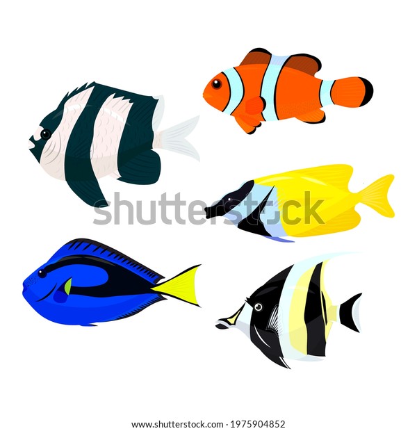 Set Tropical Fish Drawing Vector Illustration Stock Vector (Royalty ...