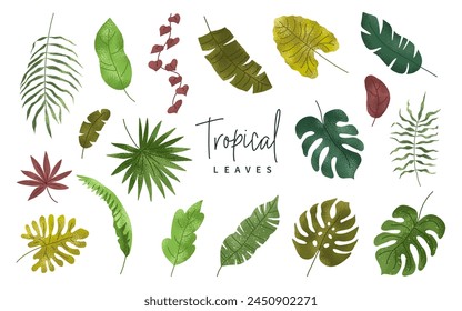 Set Tropical Leaves Palm Banana Leaf Stock Vector (Royalty Free ...