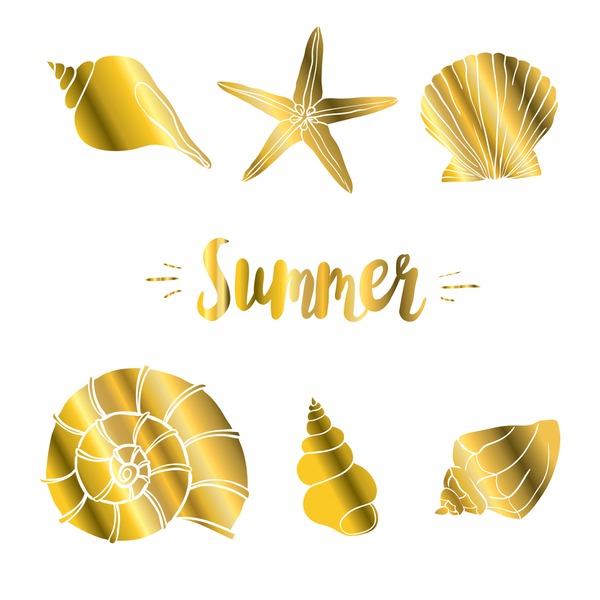 2+ Thousand Confetti Shells Royalty-Free Images, Stock Photos ...