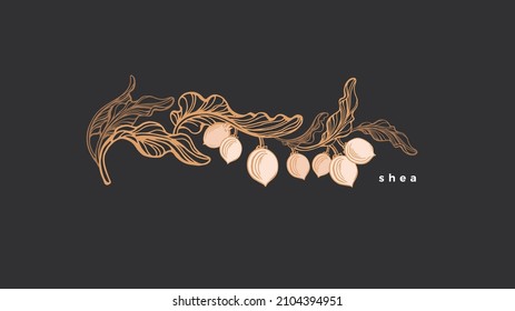 264 Shea Farm Royalty-Free Images, Stock Photos & Pictures | Shutterstock