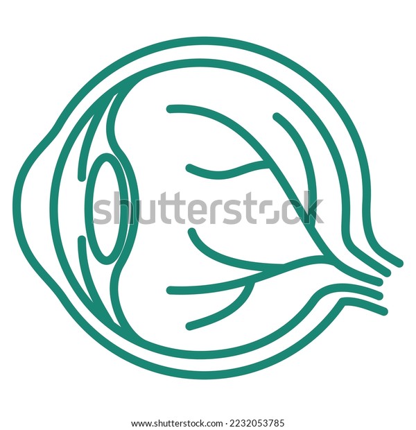 Simple Outline Modern Turquoise Schematic Human Stock Vector (Royalty ...