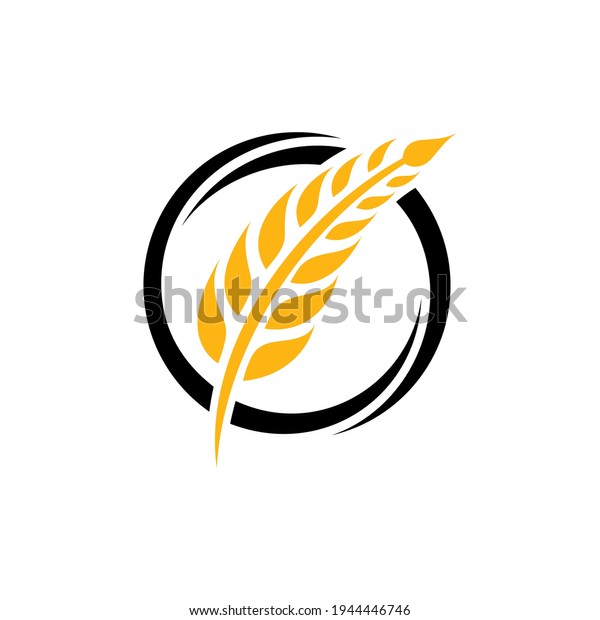 Simple Wheat Grain Flat Logo Template Stock Vector (Royalty Free ...