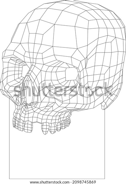 Skull 3d Model Volume Vector Stock Vector (Royalty Free) 2098745869 ...