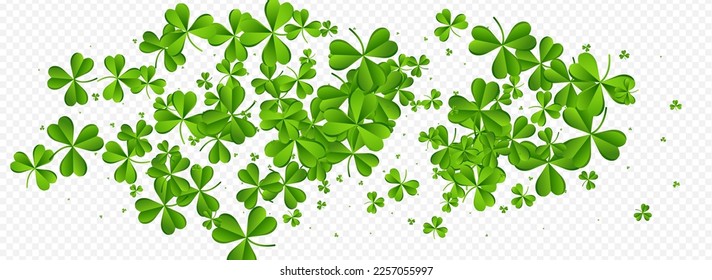 Malachite Clover Falling Vector White Panoramic Stock Vector (Royalty ...