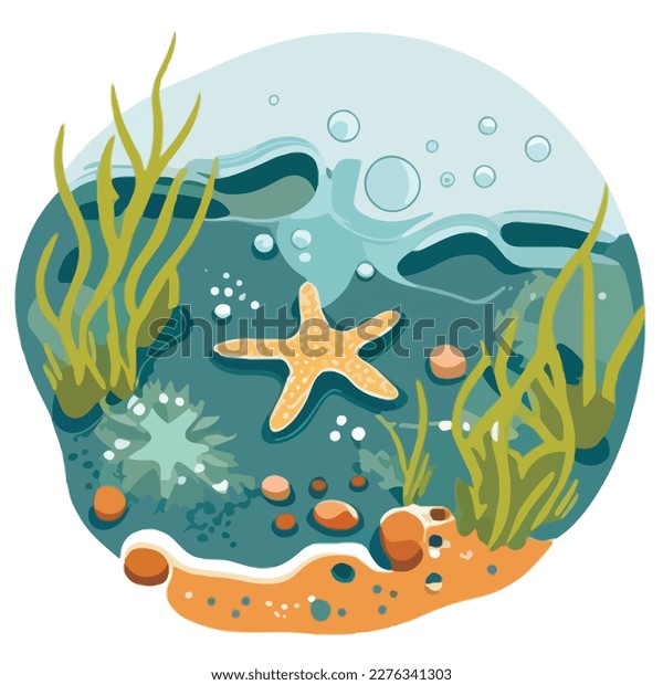 Tide Pools Illustrated: Over 892 Royalty-Free Licensable Stock ...