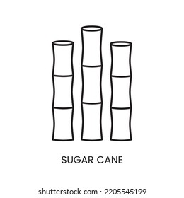 Sugarcane Outline