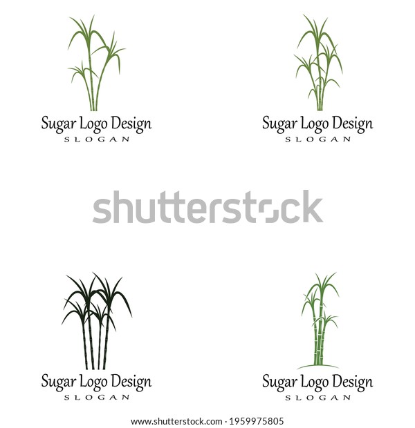 Sugar Cane Logo Template Vector Symbol Stock Vector (Royalty Free ...