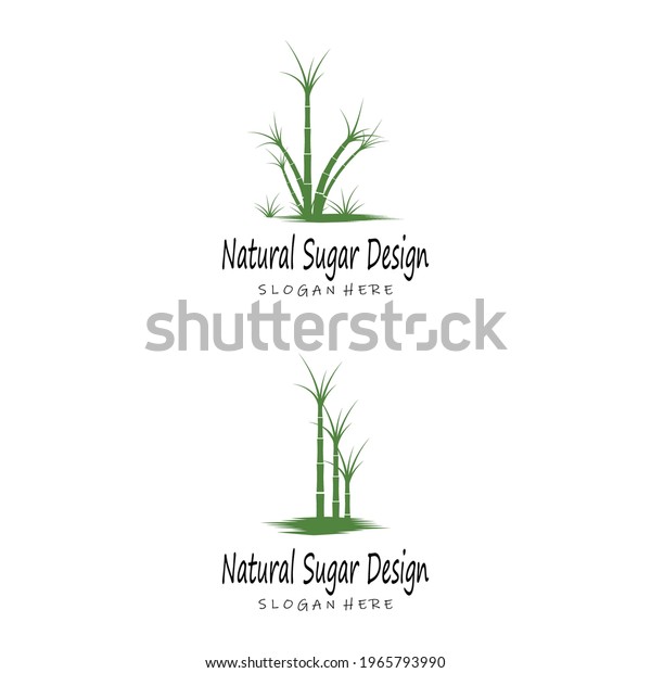 Sugar Cane Logo Template Vector Symbol Stock Vector (Royalty Free ...