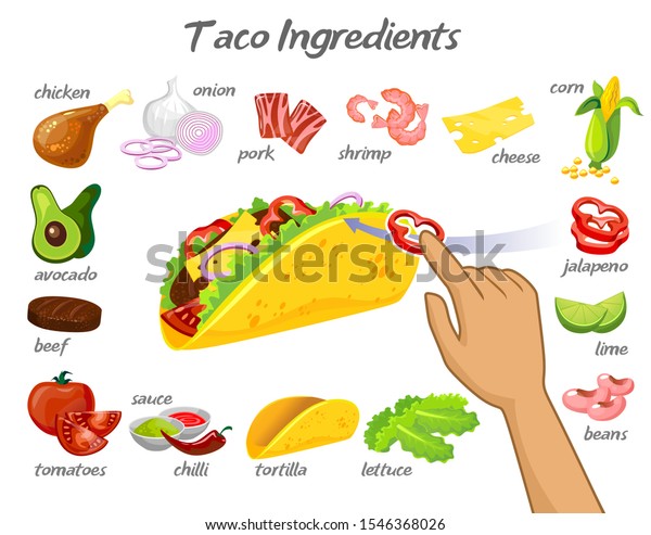 Taco Different Ingredients Vector Illustration Poster Stock Vector ...