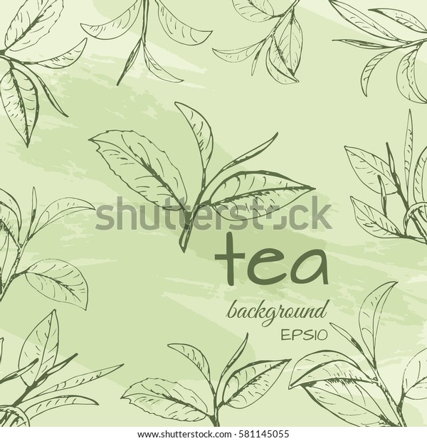 Tea Logo Vector Background Painted Leaves Stock Vector (Royalty Free ...