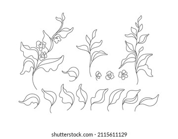 Tea Leaf Outline Tea Leaf Outline Stock Photos, Royalty Free Tea Leaf