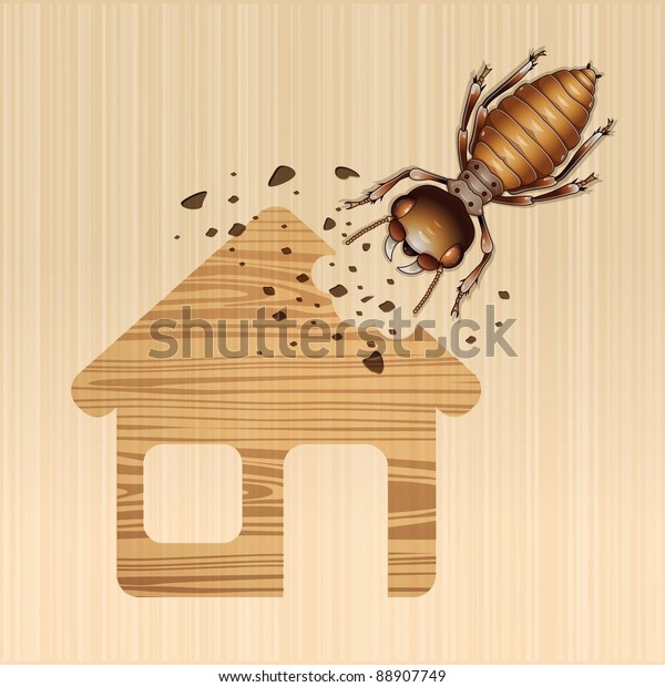 Termite Damage House Vector Stock Vector (Royalty Free) 88907749 ...