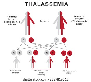 Gene Diagram: Over 4,835 Royalty-Free Licensable Stock Illustrations ...