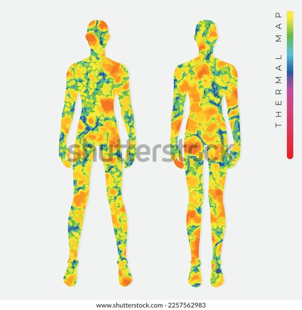 Thermal Map Temperature Meter Body Stock Vector (Royalty Free ...
