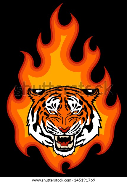 Tiger Fire Stock Vector (Royalty Free) 145191769 | Shutterstock