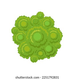 Top View Bush Tree Scheme Illustration Stock Vector (Royalty Free ...