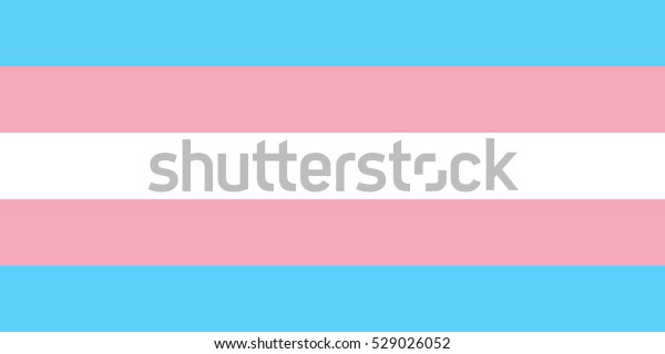 Transgender Flag Vector Stock Vector (Royalty Free) 529026052 ...