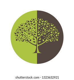 Tree Circle Divided Half Into Two Stock Vector (Royalty Free ...