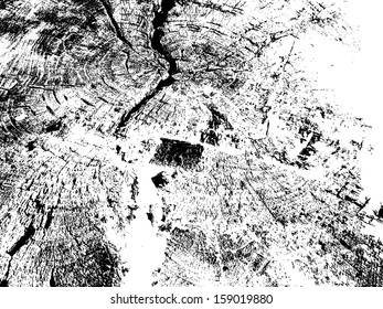 Tree Circle Texture Stock Vector (Royalty Free) 159019880 | Shutterstock