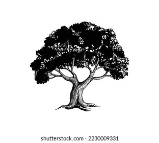 Tree Drawing Illustrator Vector Art Stock Vector (Royalty Free ...