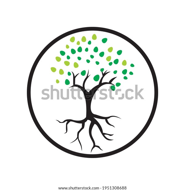 Tree Root Logo Icon Vector Template Stock Vector (Royalty Free ...